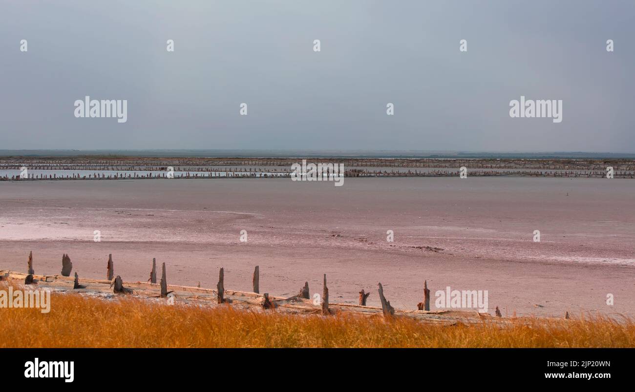 The wooden columns covered large lumps of salt in the pink lake. Crimea ...