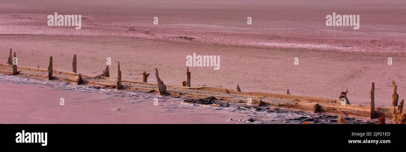 The wooden columns covered large lumps of salt in the pink lake. Crimea ...