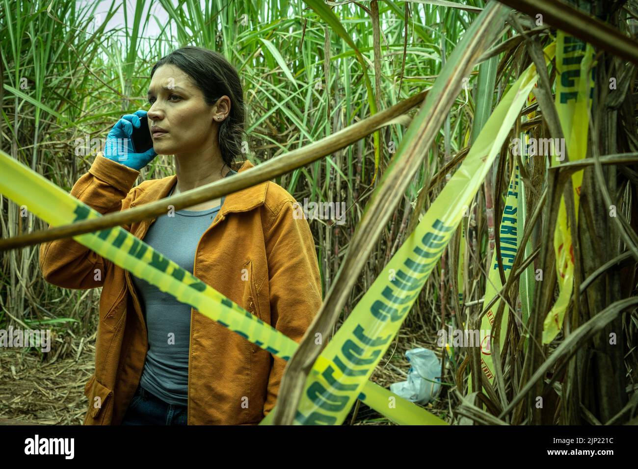 KIM ENGELBRECHT in REYKA (2021), directed by ZEE NTULI and CATHARINE ...