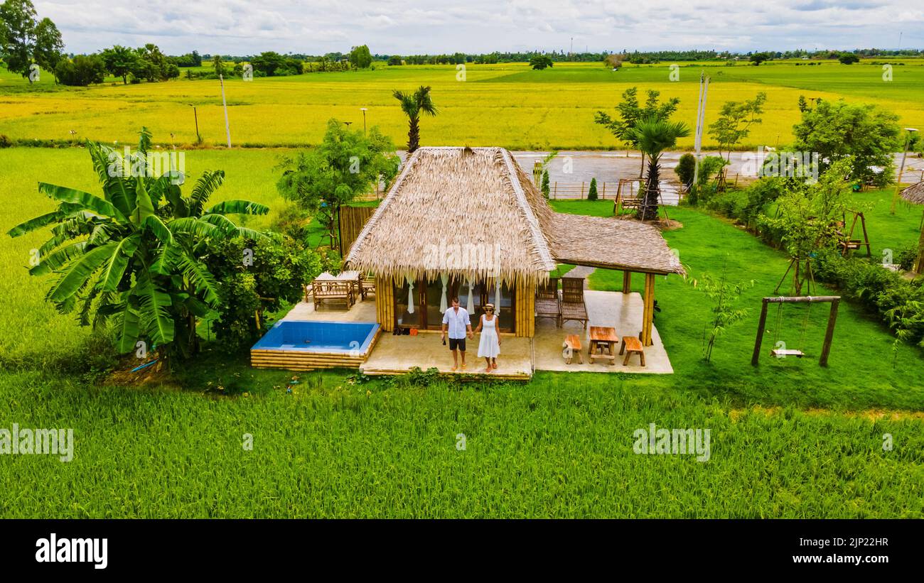 Eco farm homestay with a rice field in central Thailand, paddy field of ...