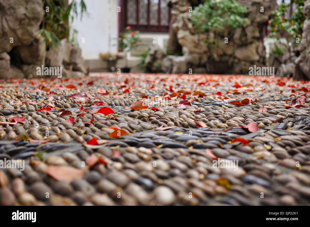 Autumn leaves on a cobble stone pathway in a chinese garden Stock Photo ...