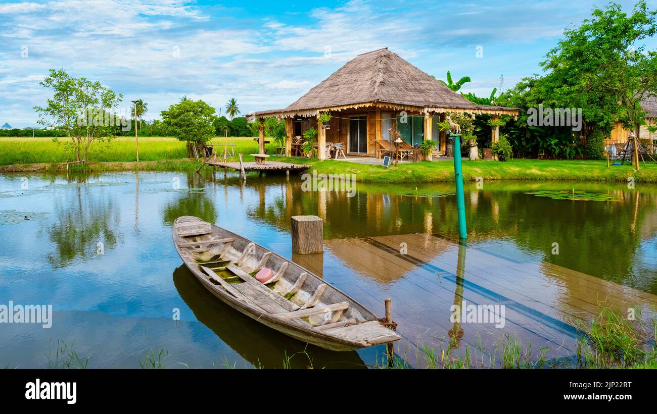 Eco farm homestay with a rice field in central Thailand, paddy field of ...