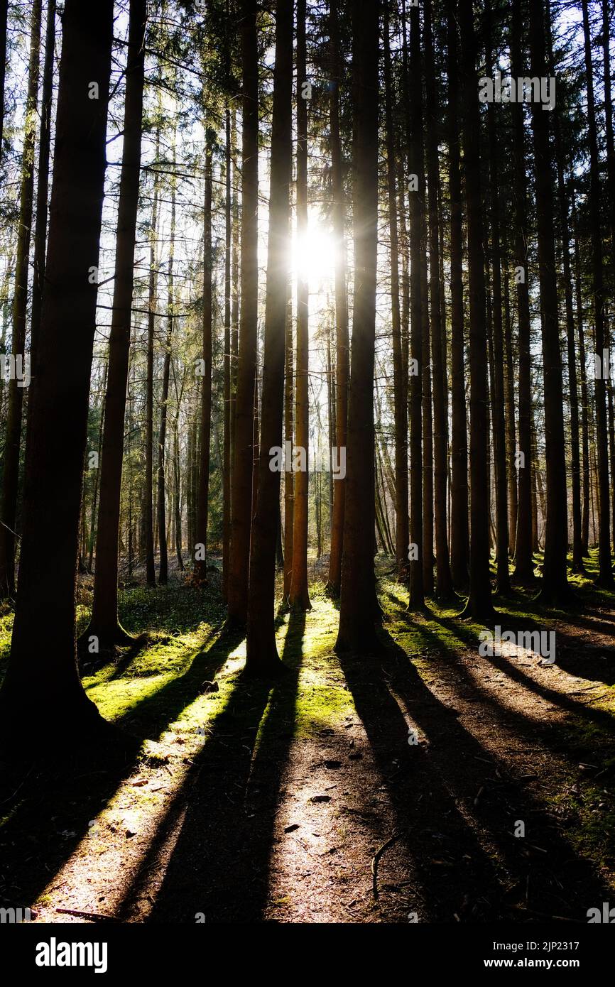 Light and shadow environment hi-res stock photography and images - Alamy