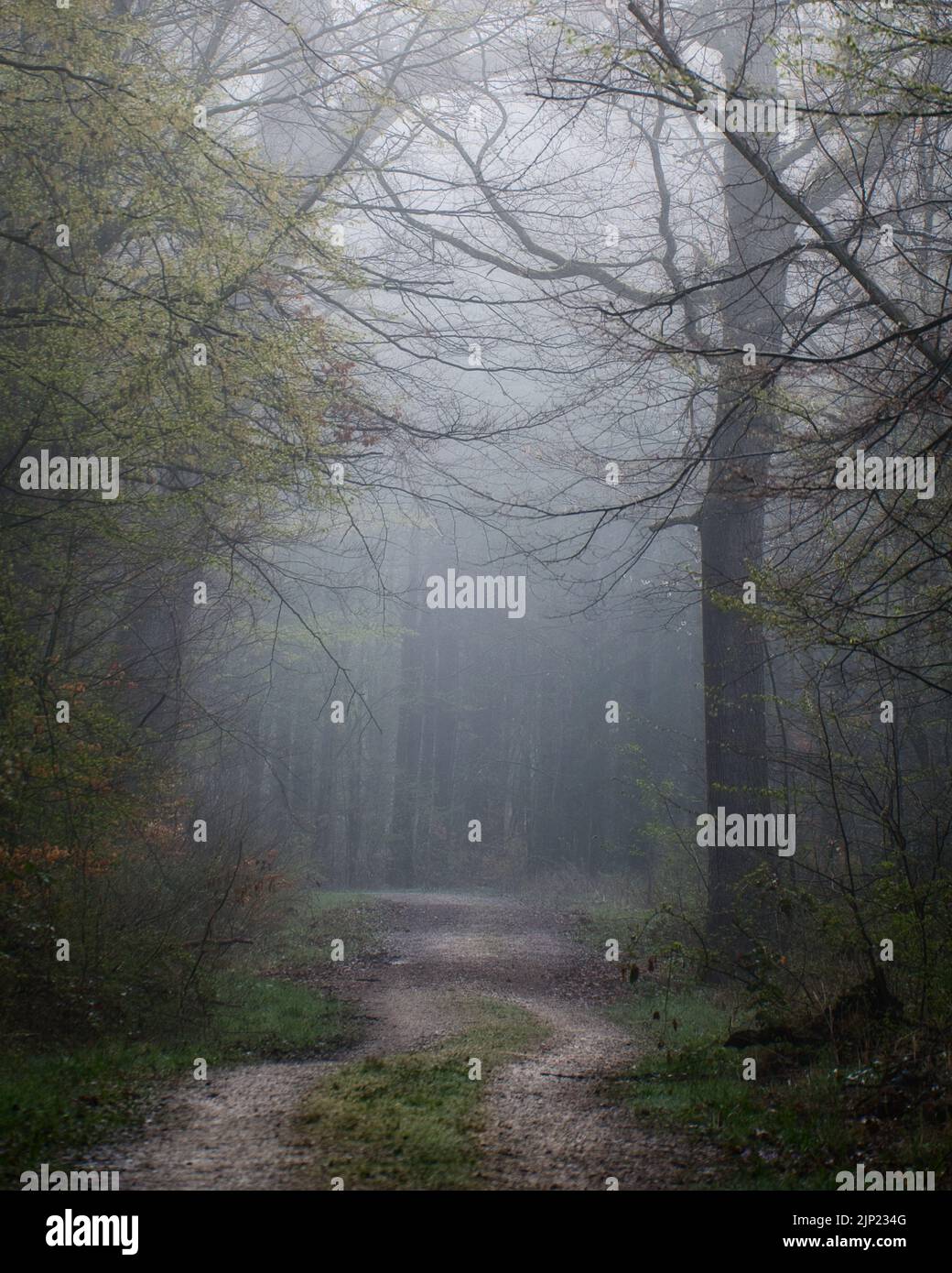 3d foggy cloud hi-res stock photography and images - Alamy