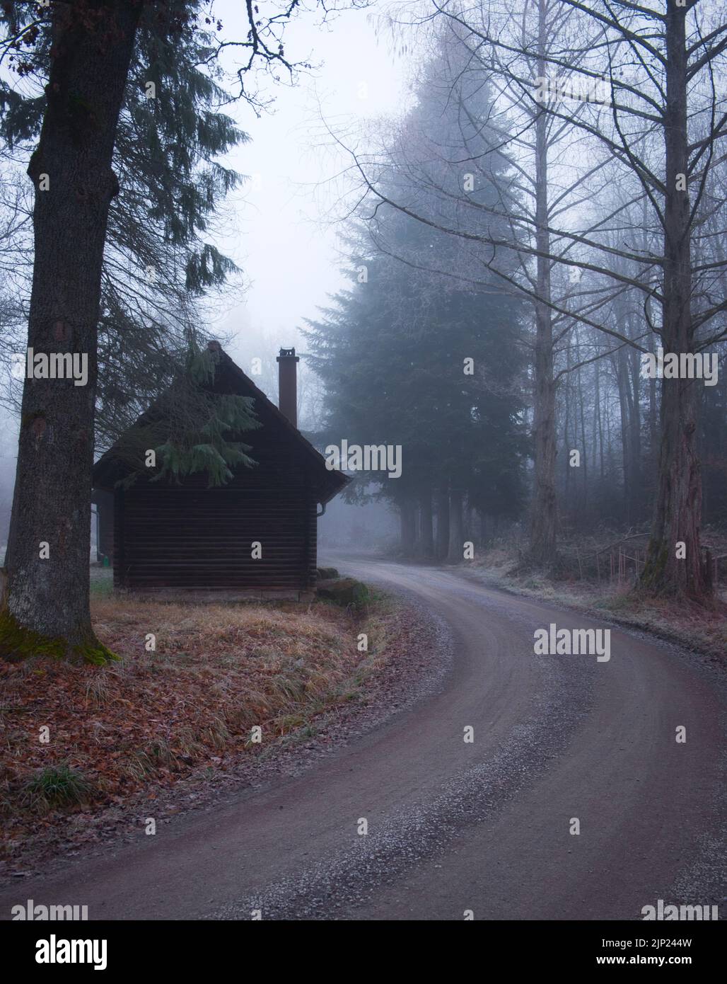 A lone cabin in the woods sourrounded by fog Stock Photo - Alamy