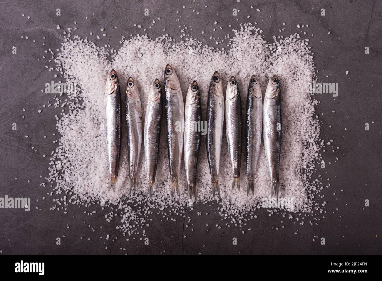 fresh fish, anchovy, anchovies, fresh fishs Stock Photo - Alamy