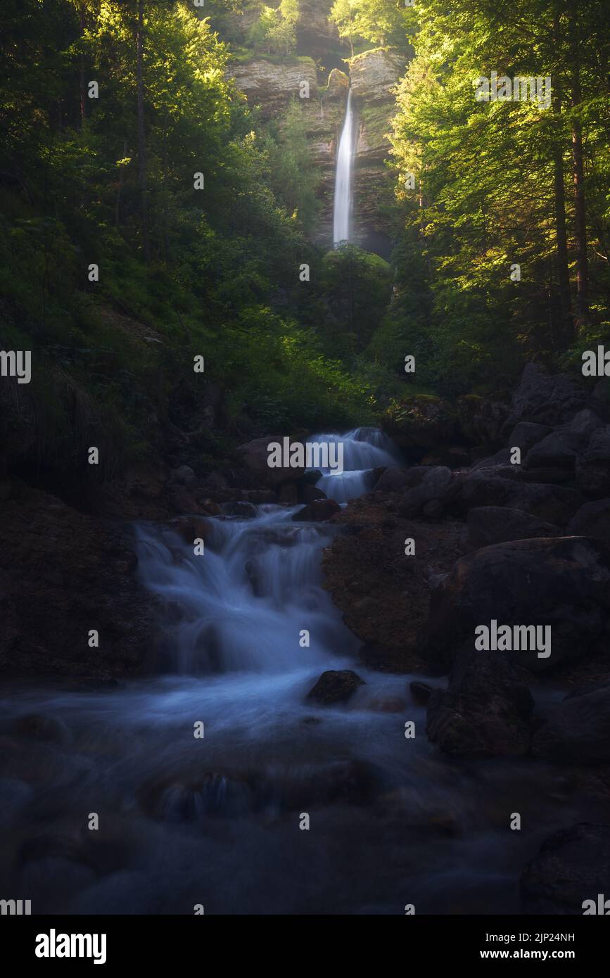 waterfall, forest, mysterious, mystical, cascade, waterfalls, forests ...