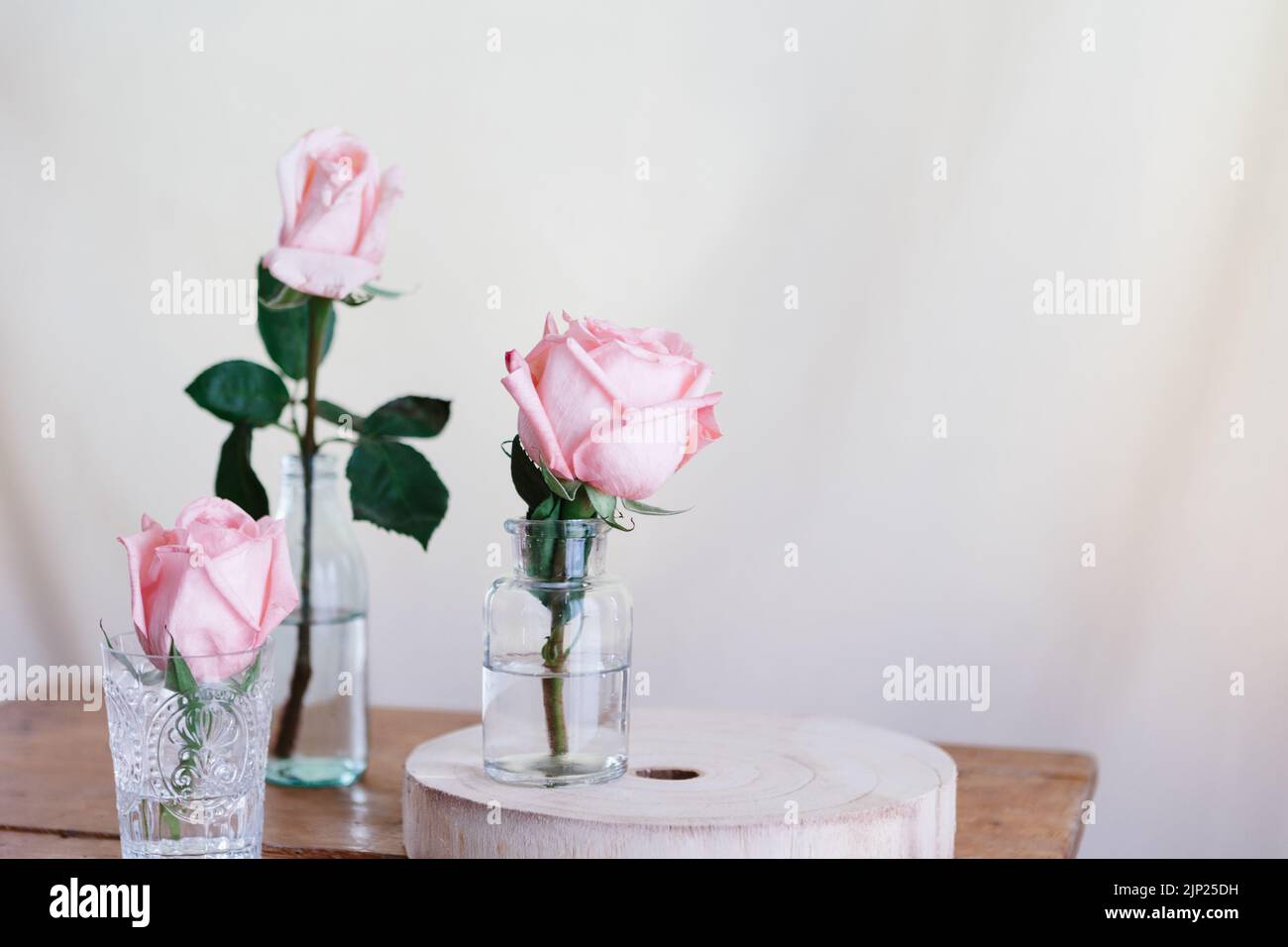 rose, decoration, interior, roses, decorations, interiors Stock Photo ...