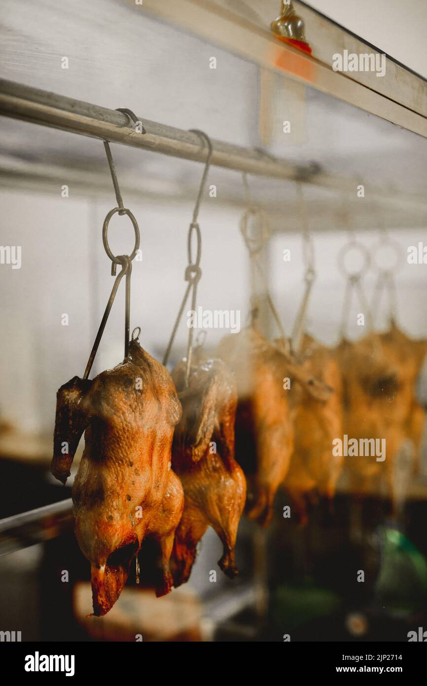 gastronomy, kitchen, duck, steam, gastronomies, kitchens, ducks, steams ...