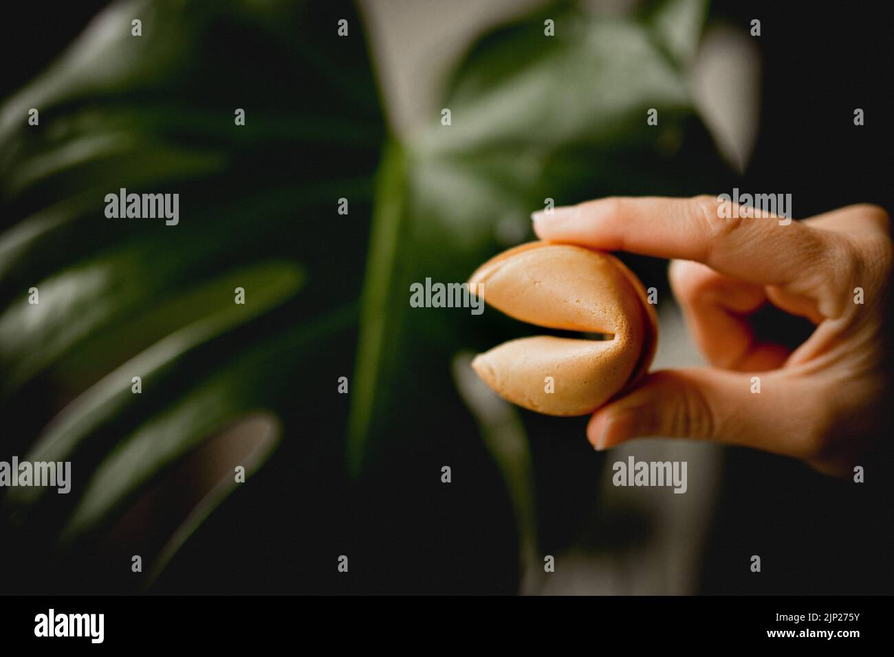 wisdom, fortune cookie, wish, pastry, wisdoms, fortune cookies, wishs ...