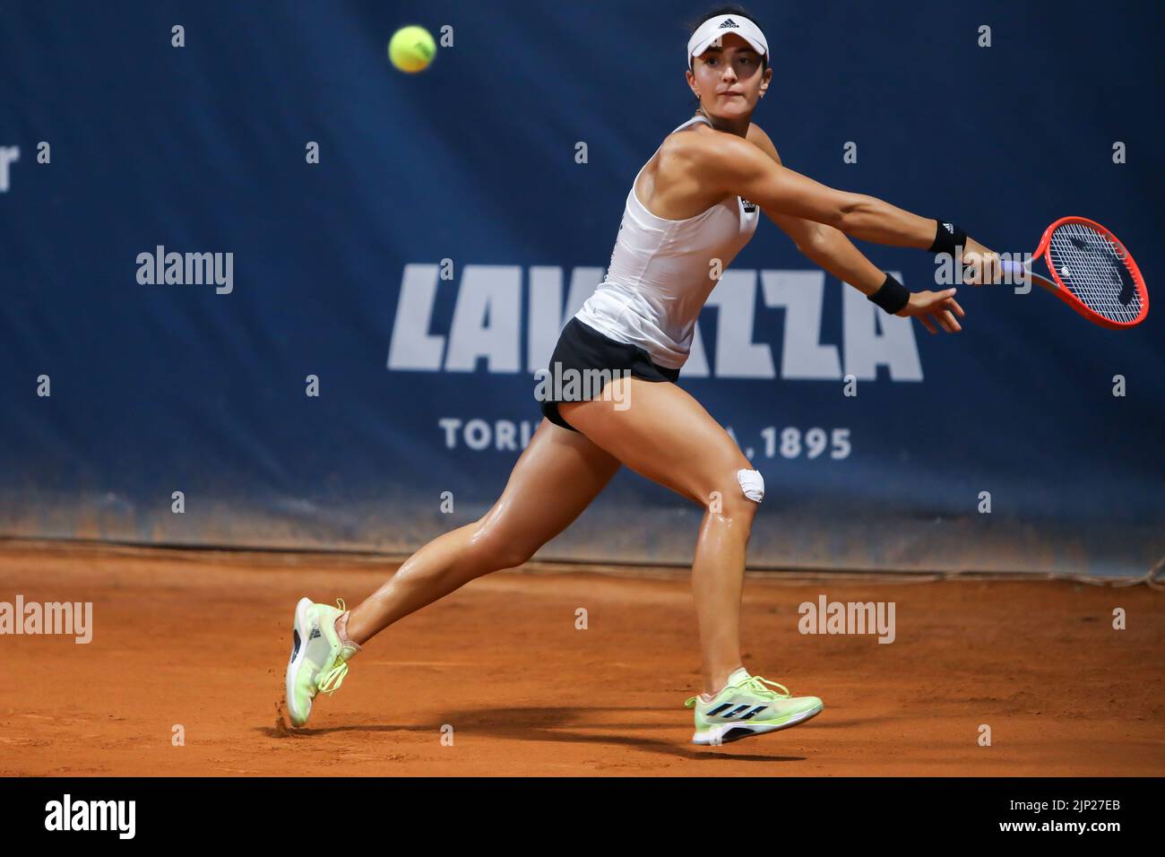 Elina avanesyan hi-res stock photography and images - Alamy