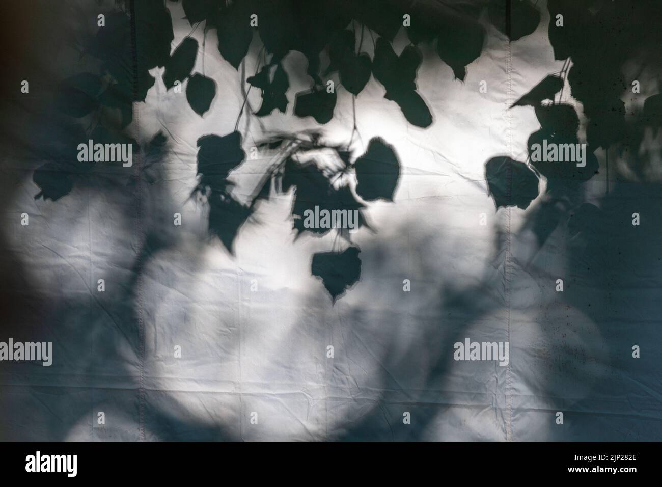 Shadow shadows cast hi-res stock photography and images - Alamy