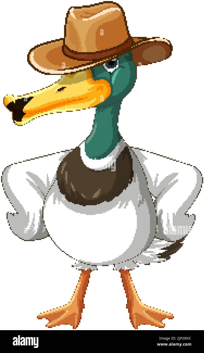Wild duck wearing cowboy hat illustration Stock Vector Image & Art - Alamy
