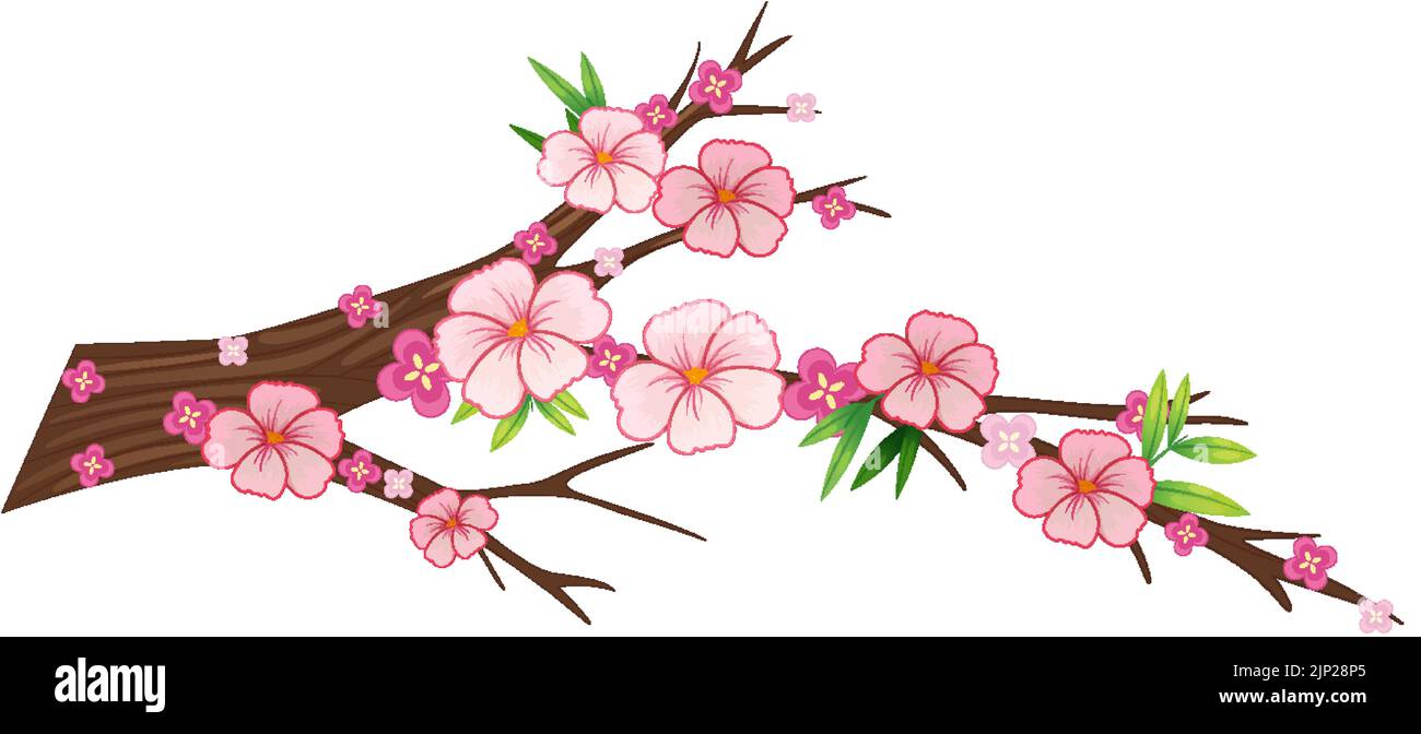 Cherry blossom branch isolated illustration Stock Vector Image & Art ...