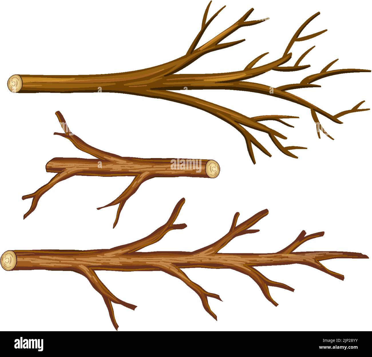 Set of different tree branches isolated illustration Stock Vector Image ...