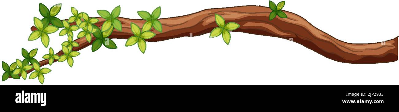 Tree branch isolated on white background illustration Stock Vector ...