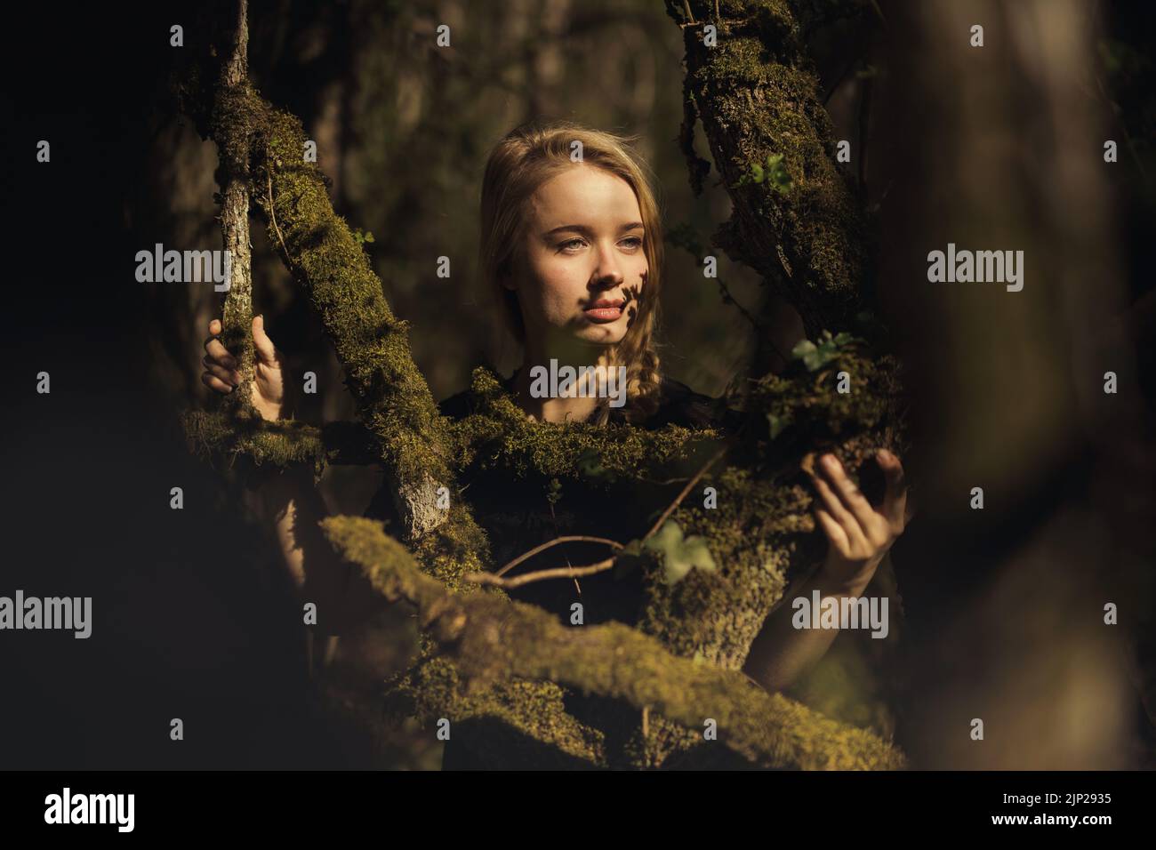 young woman, nature, tree, portrait, girl, girls, woman, young women ...
