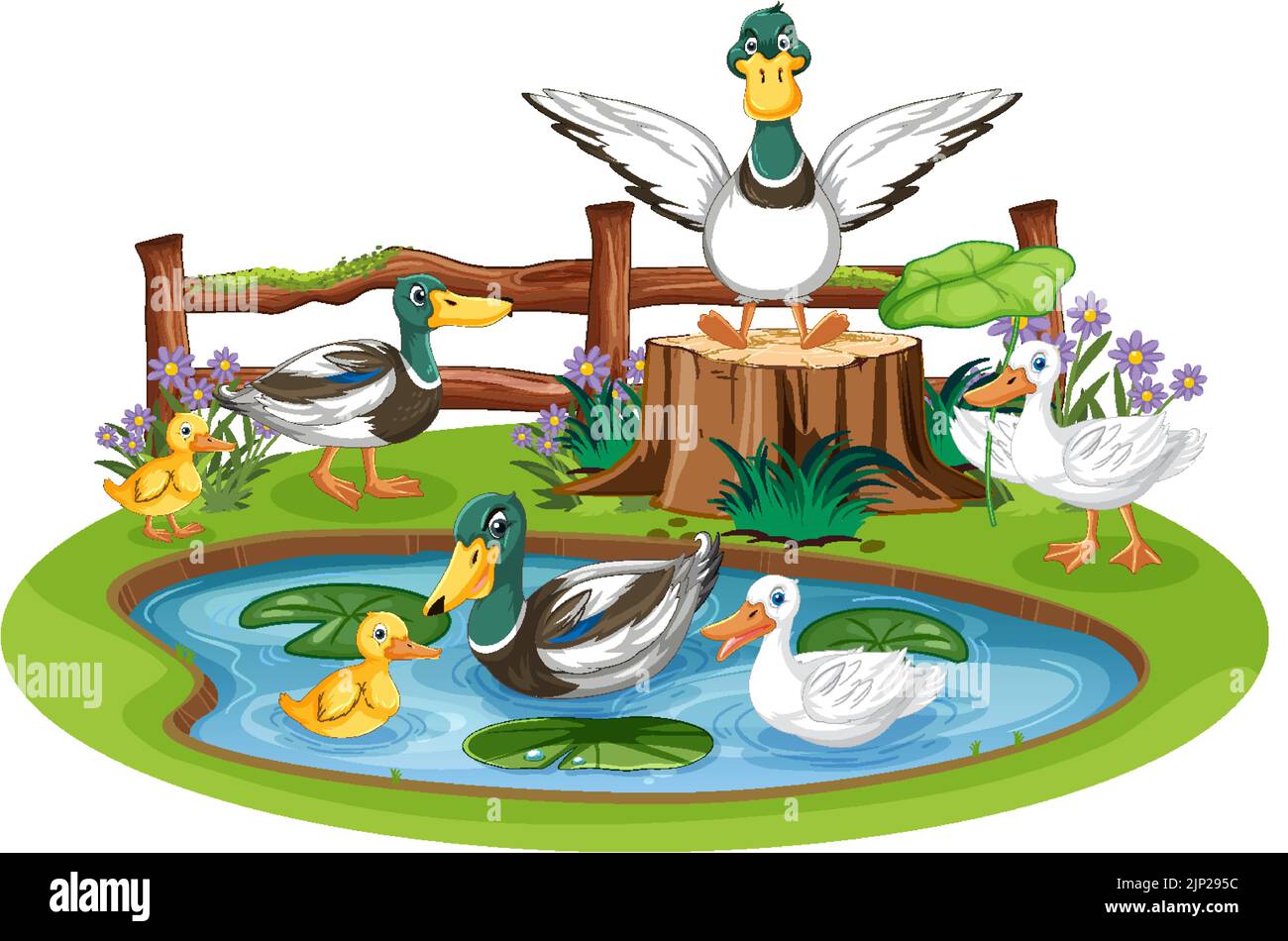 Duck family in pond illustration Stock Vector Image & Art - Alamy