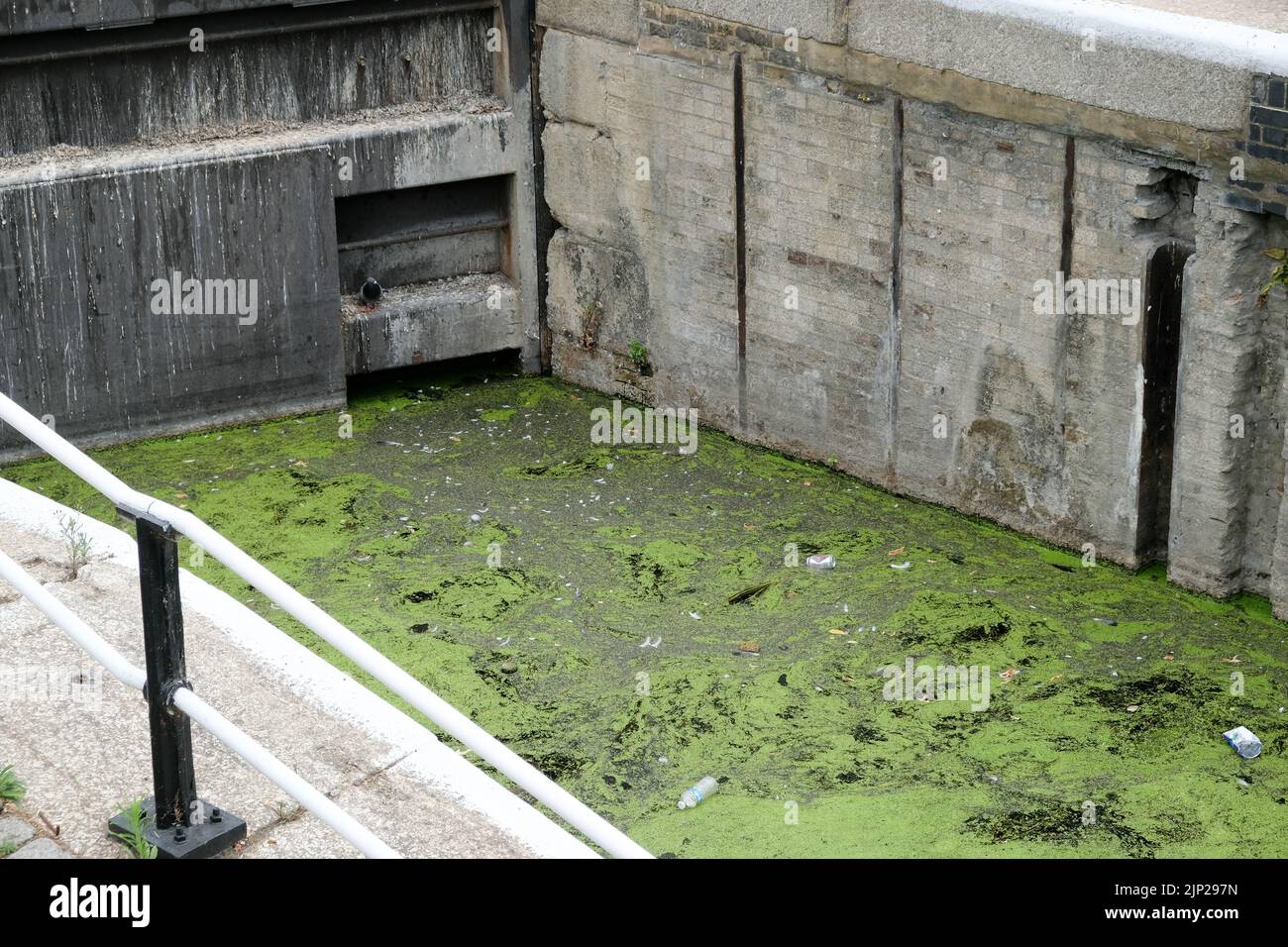London, UK. 15th Aug 2022. UK Weather: drought warnings. Dry conditions ...