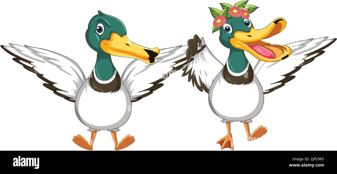 A couple of ducks cartoon character illustration Stock Vector Image ...