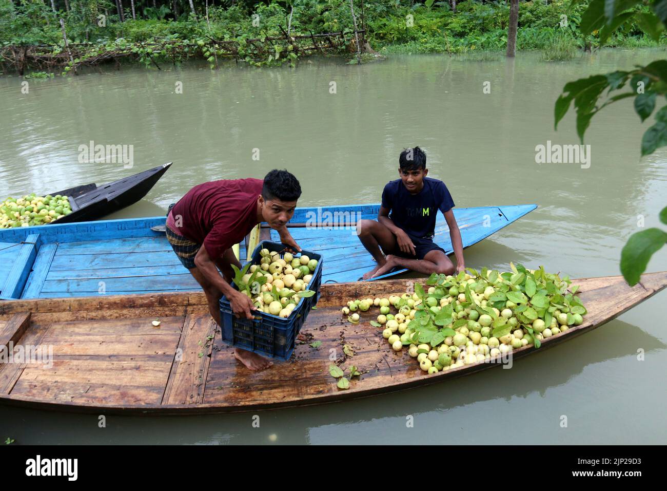 Farmers row boats hi-res stock photography and images - Alamy