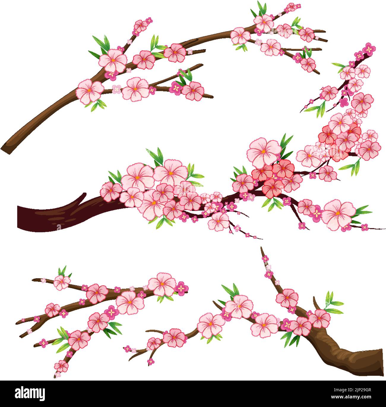 Cherry blossom branch isolated illustration Stock Vector Image & Art ...