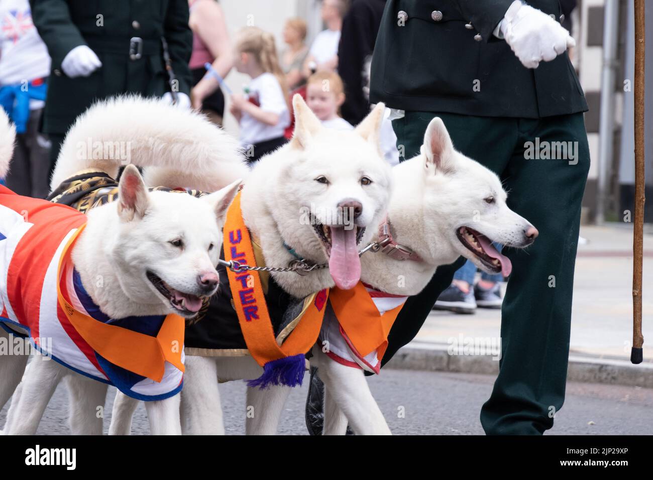 Loyalist band hi-res stock photography and images - Alamy