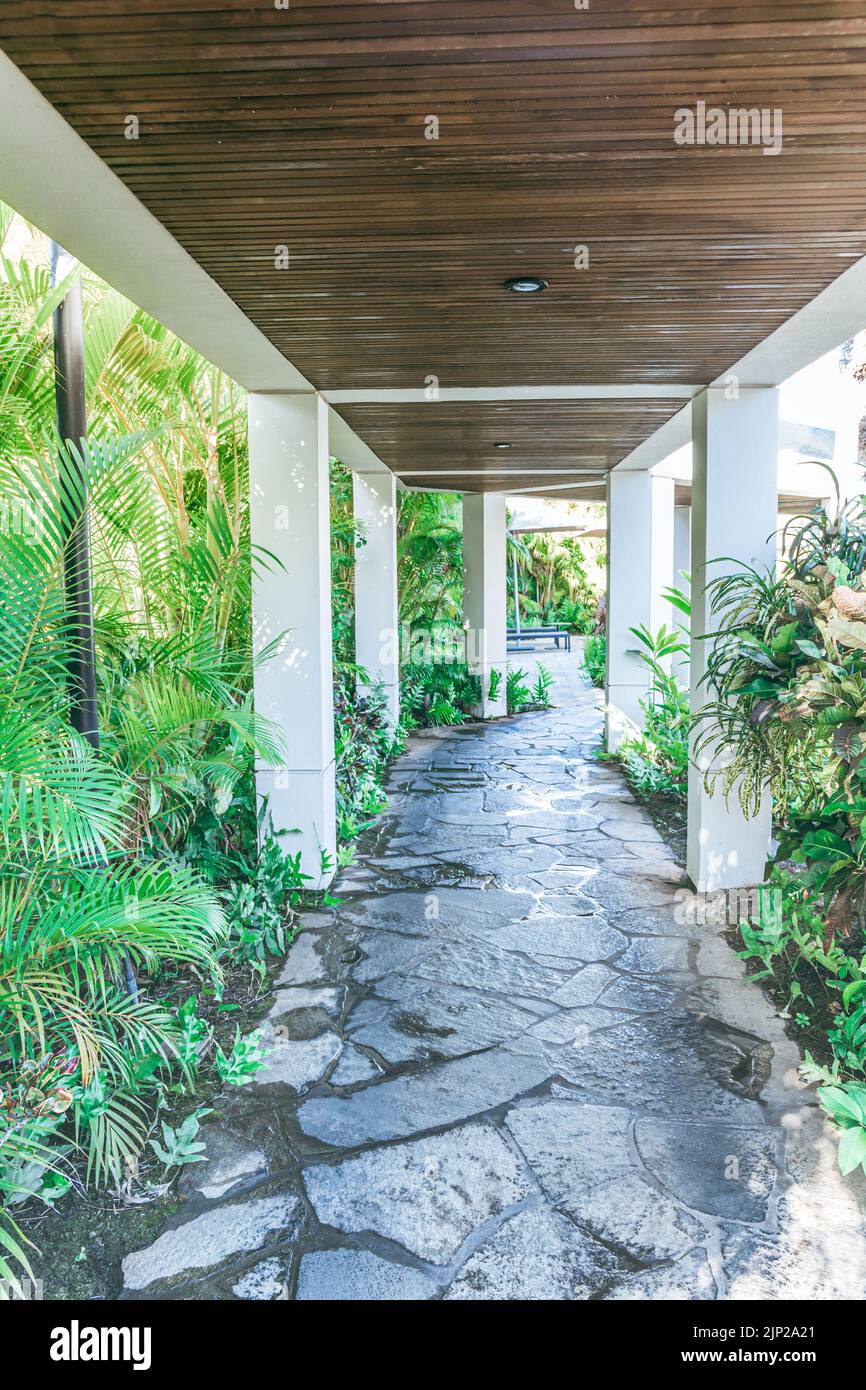 A rock sidewalk wood plank covered pathway or walkway with lush ...