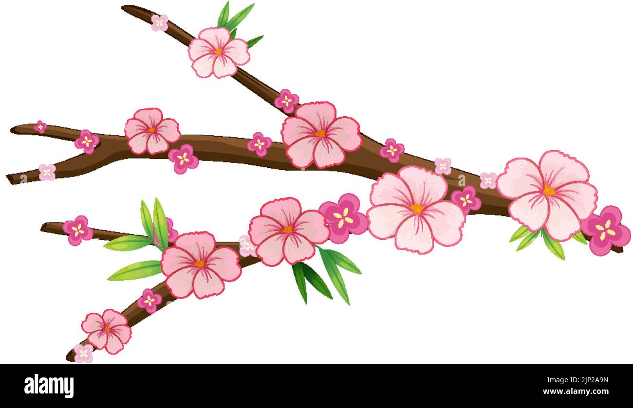 Cherry blossom branch isolated illustration Stock Vector Image & Art ...