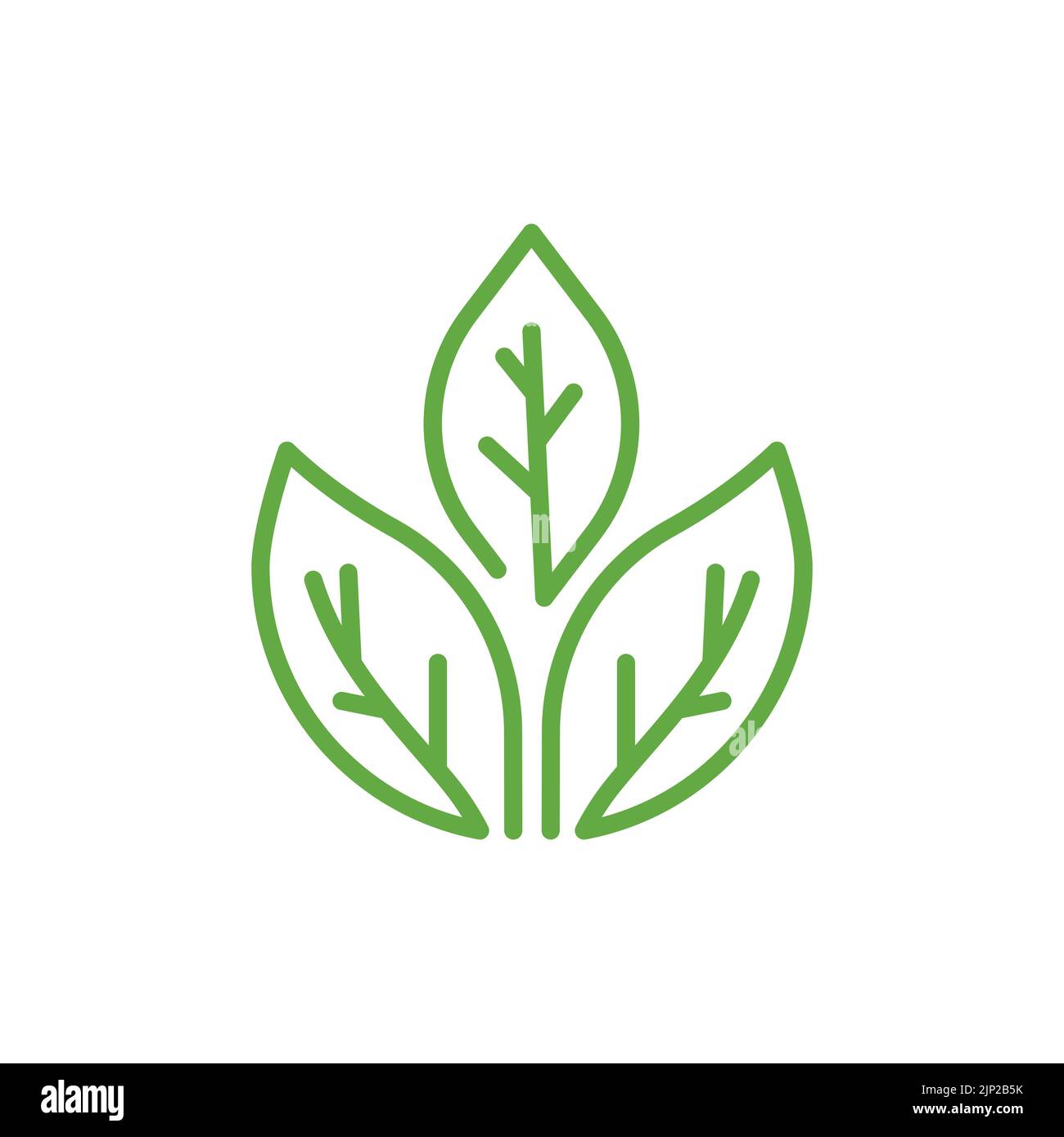 Green leaf ecology nature element vector icon, Leaf linear Icon, green ...
