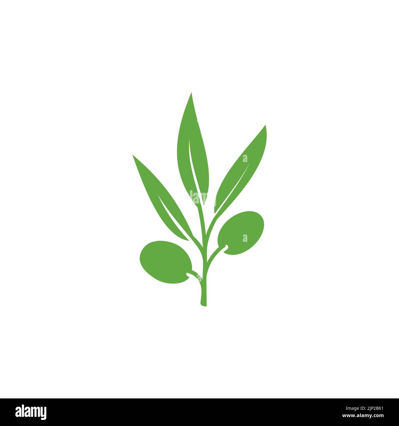 Olive branch illustration hi-res stock photography and images - Alamy