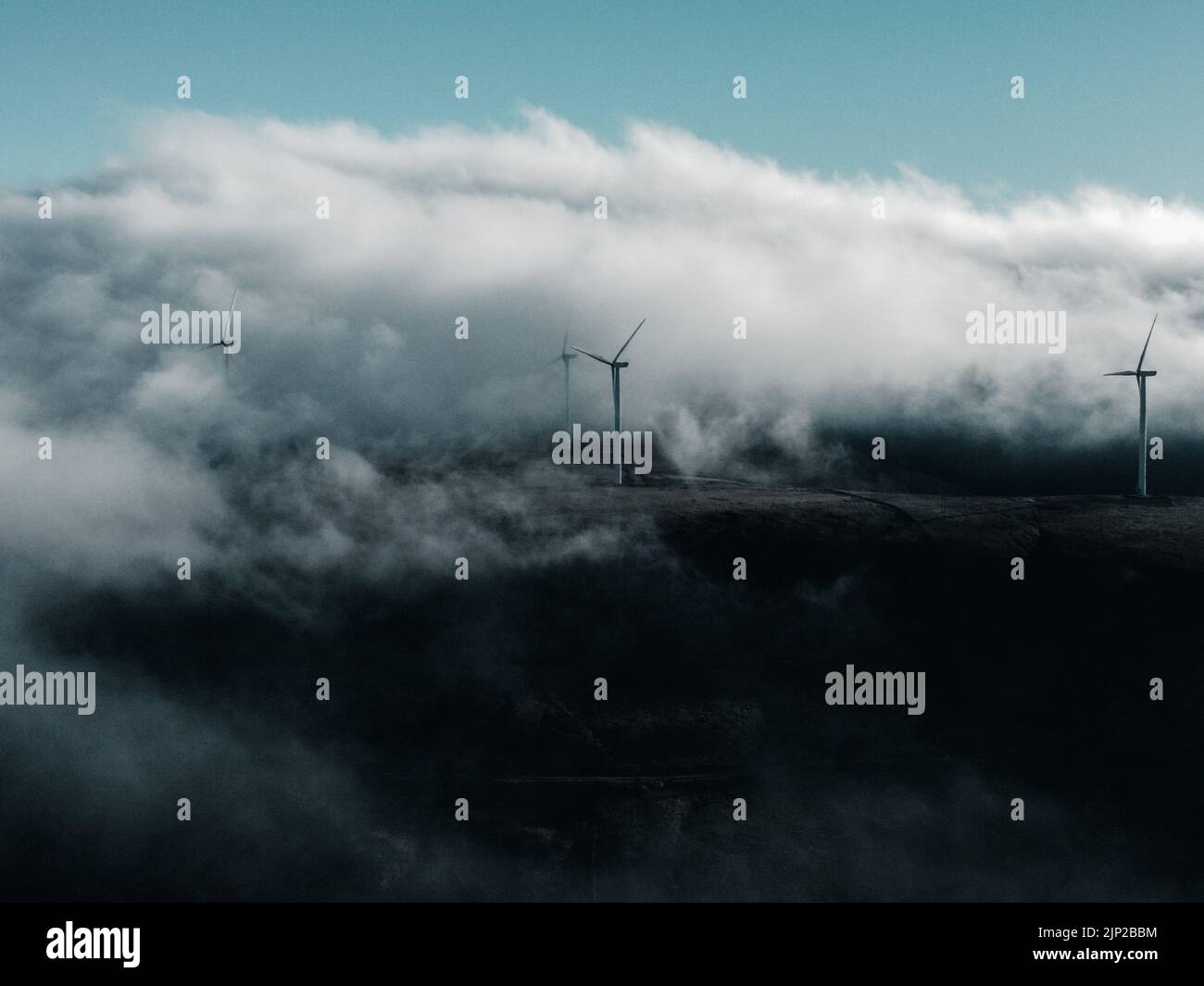 A field of wind turbines on a foggy day Stock Photo - Alamy