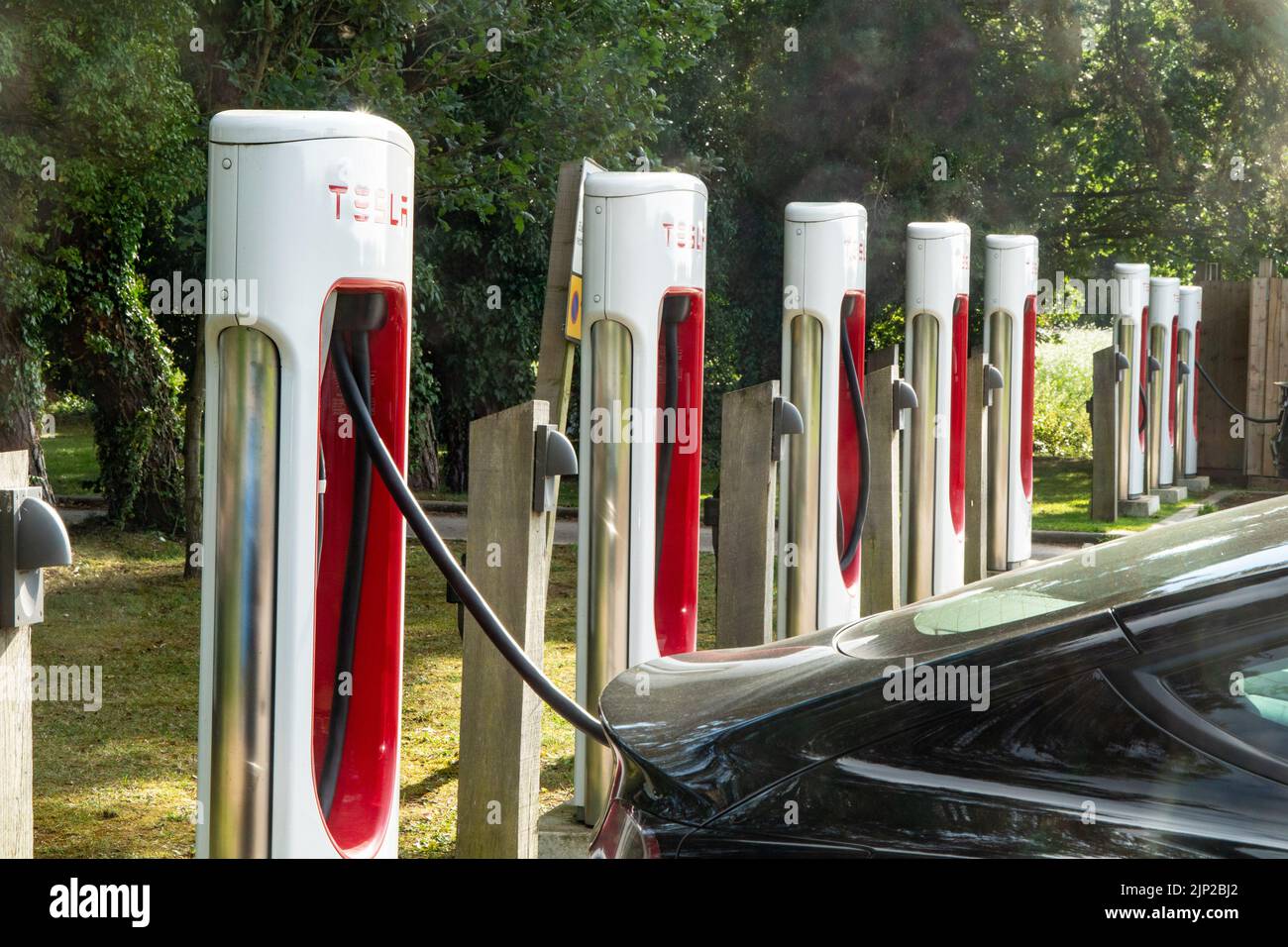 Tesla Electic Charging points in a car park In Thetford Forest, Norfolk ...