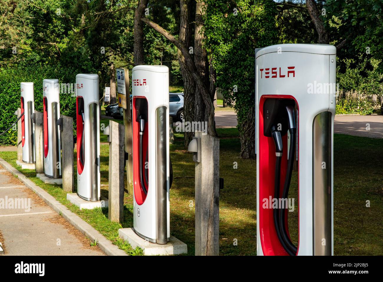 Tesla Electic Charging points in a car park In Thetford Forest, Norfolk ...