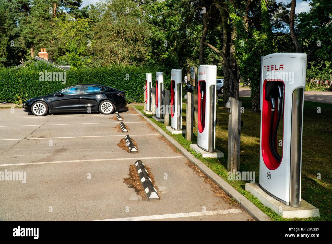 Tesla Electic Charging points in a car park In Thetford Forest, Norfolk ...
