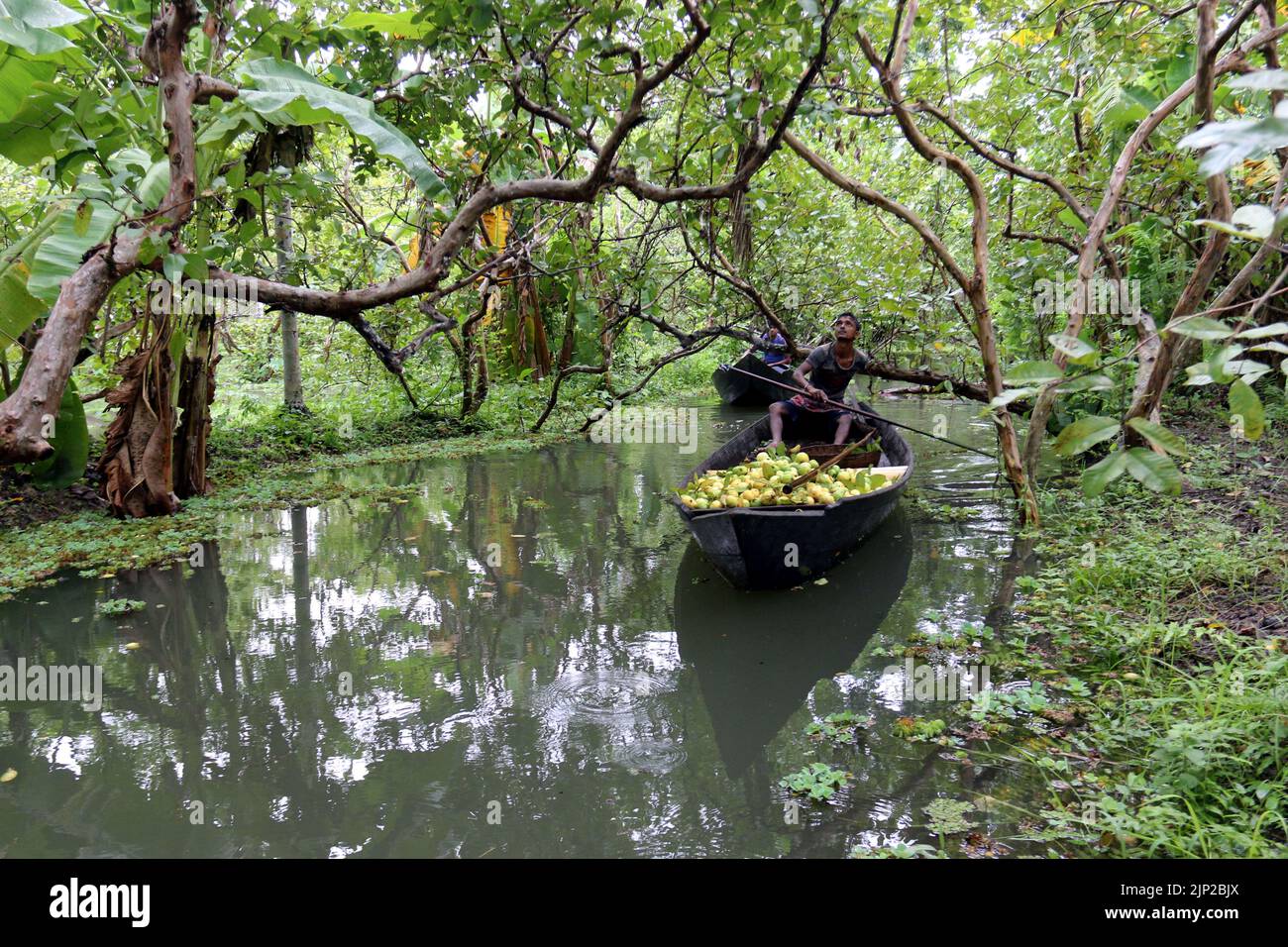 Farmers row boats hi-res stock photography and images - Alamy