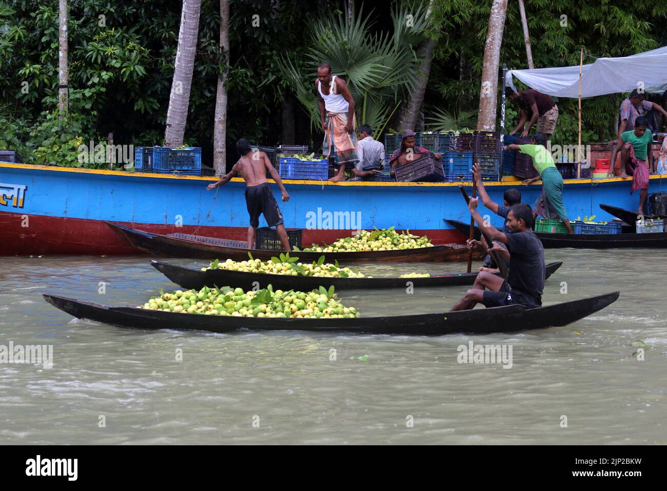Farmers row boats hi-res stock photography and images - Alamy