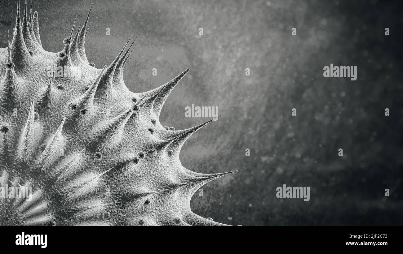 virus, microorganism, bacterium, microorganisms, bacteriums Stock Photo ...