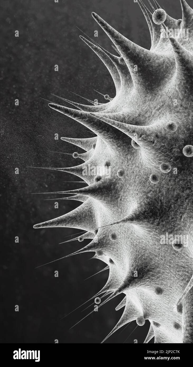 virus, microorganism, microbiology, microorganisms, microbiologies ...