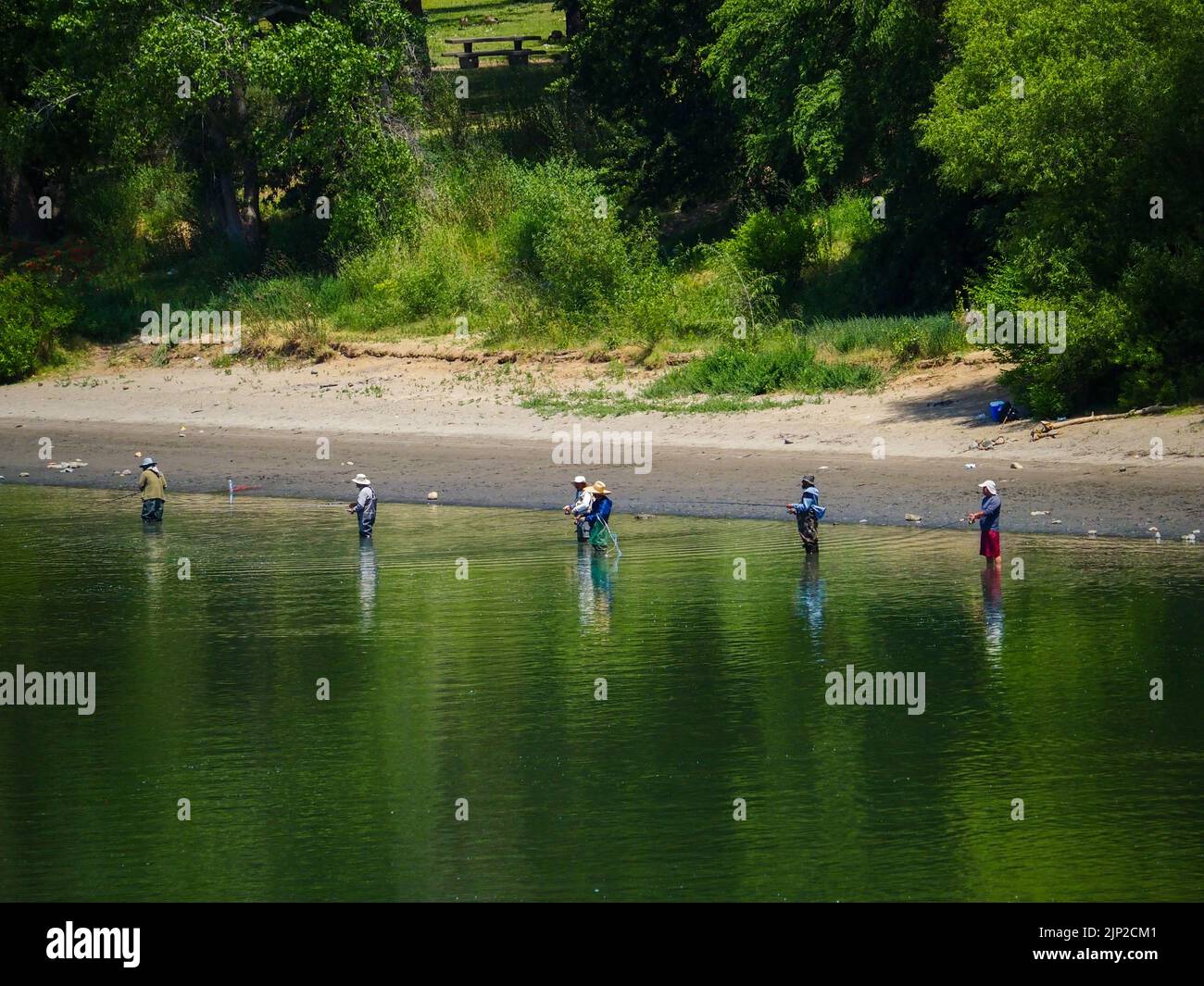 The fisherman lined up on the Sacramento river trying to catch shad ...