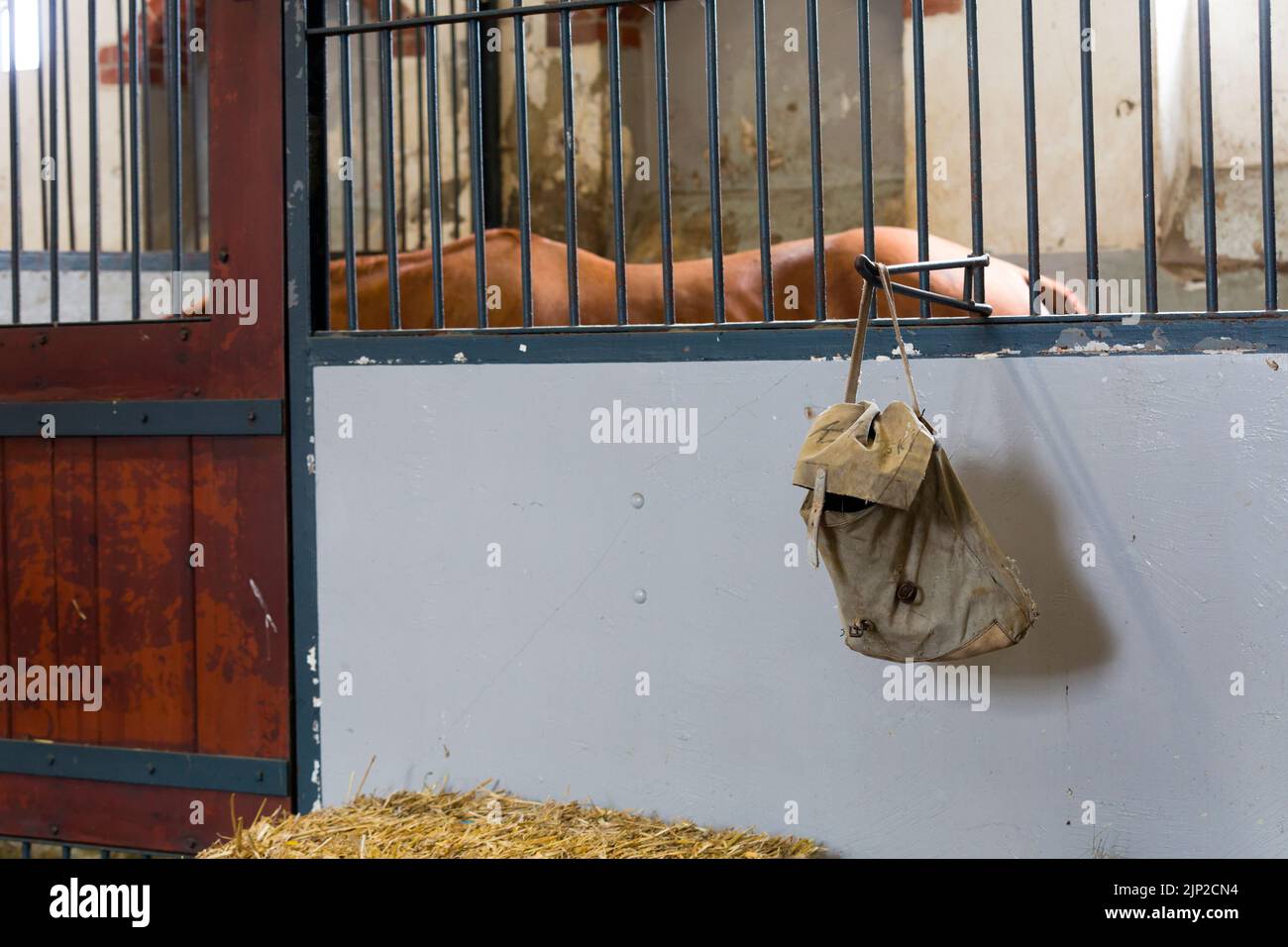 horse box, stable, horse boxs, stables Stock Photo - Alamy