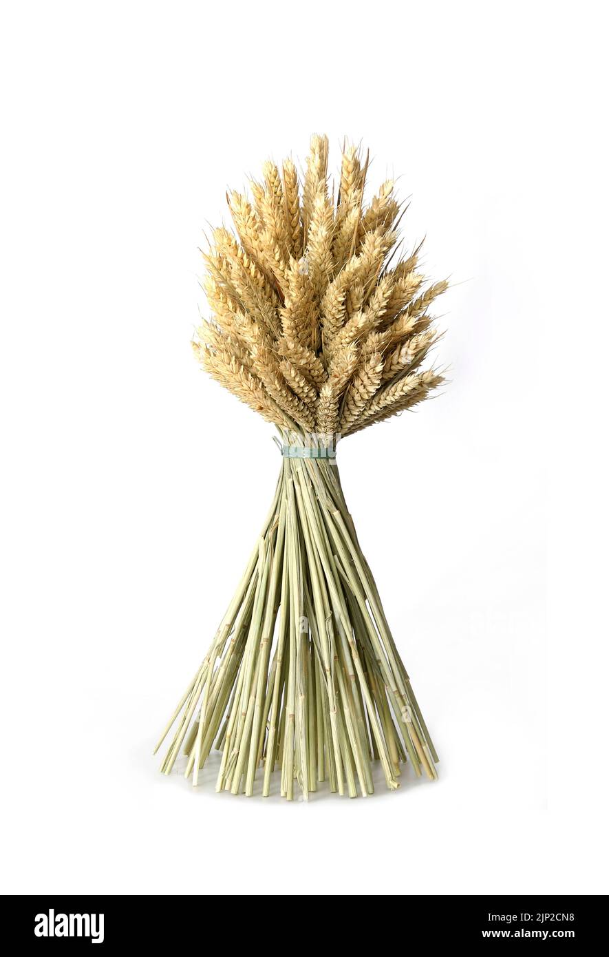 Tied to spikes hi-res stock photography and images - Alamy