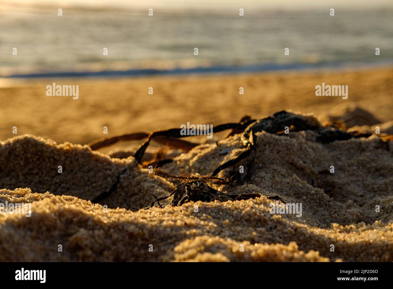 Por design hi-res stock photography and images - Alamy