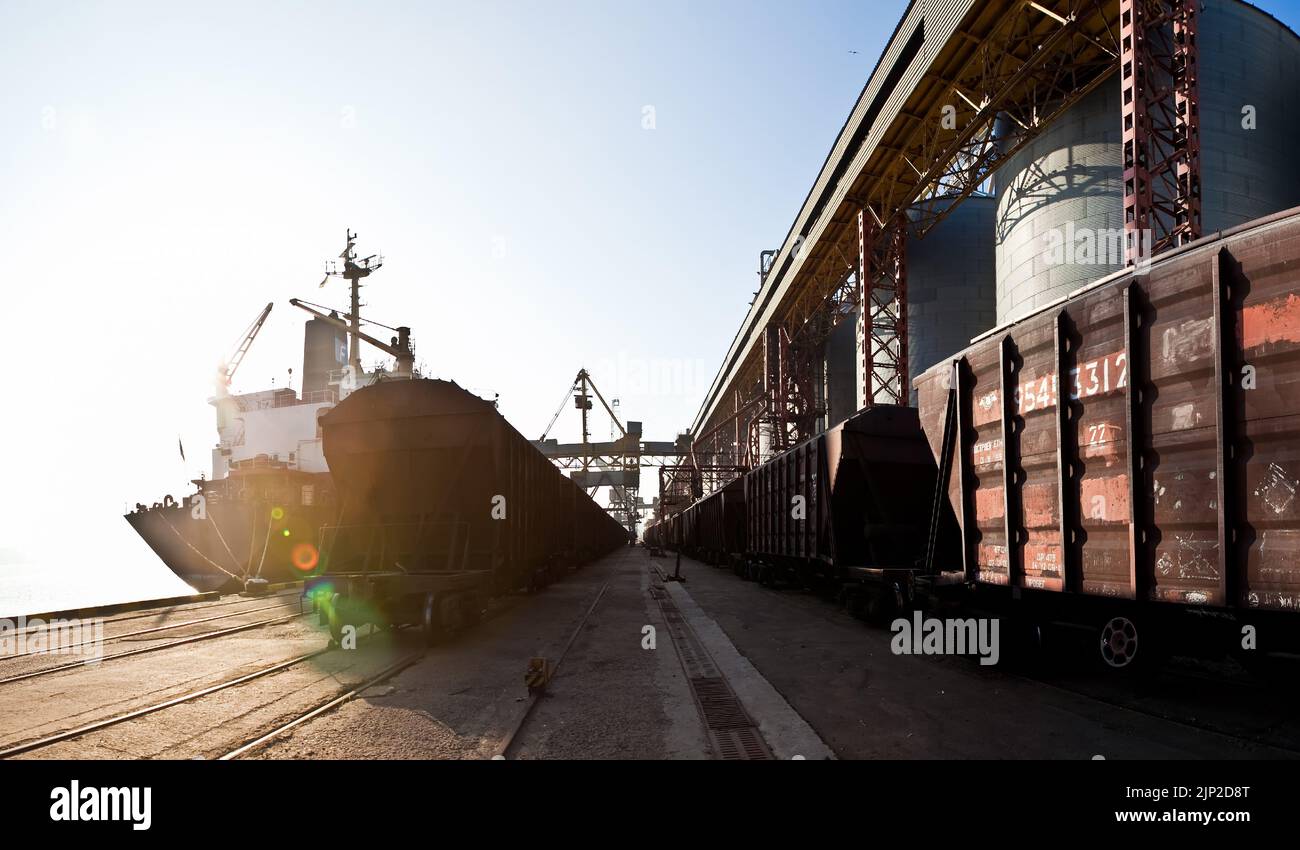 Loading grain into holds of sea cargo vessel in seaport from grain ...