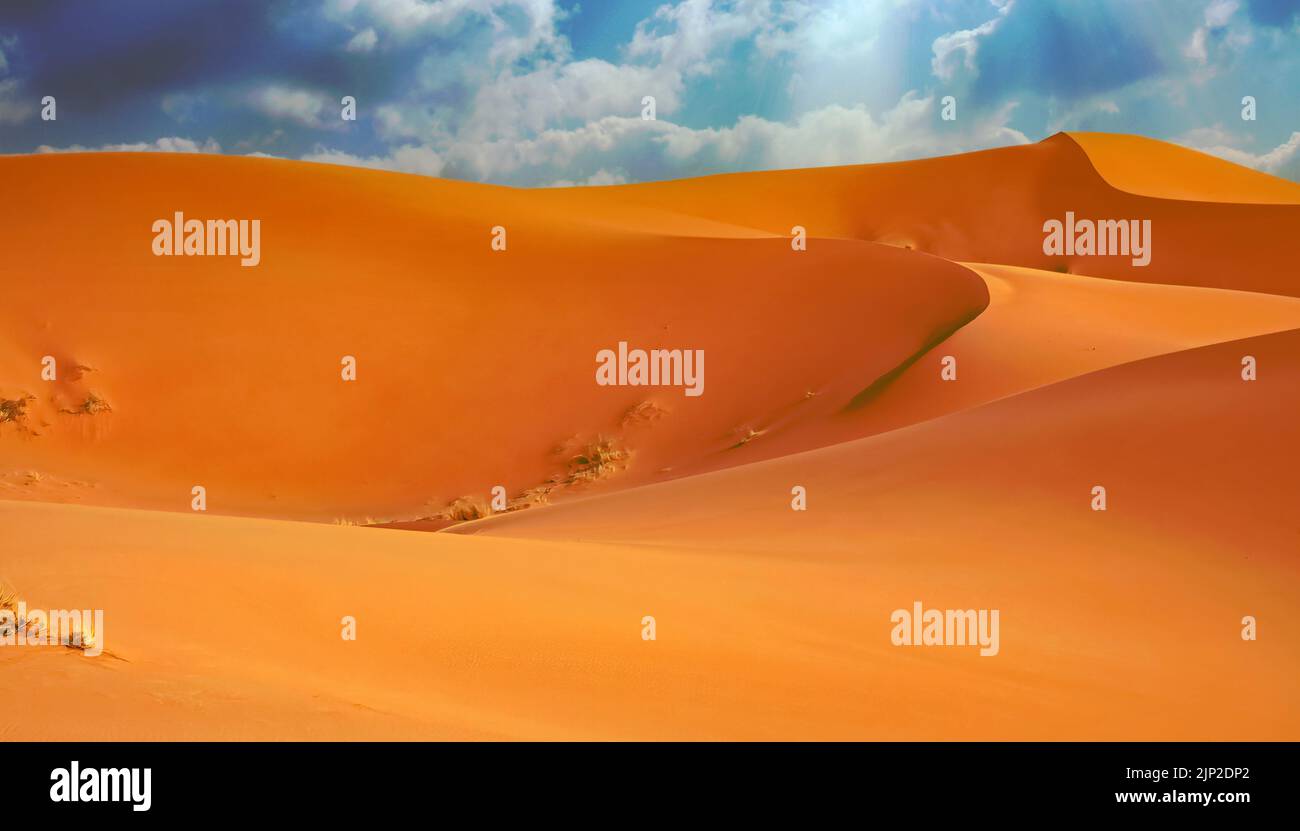 Beautiful empty orange color sand desert dunes landscape, wavy lines ...