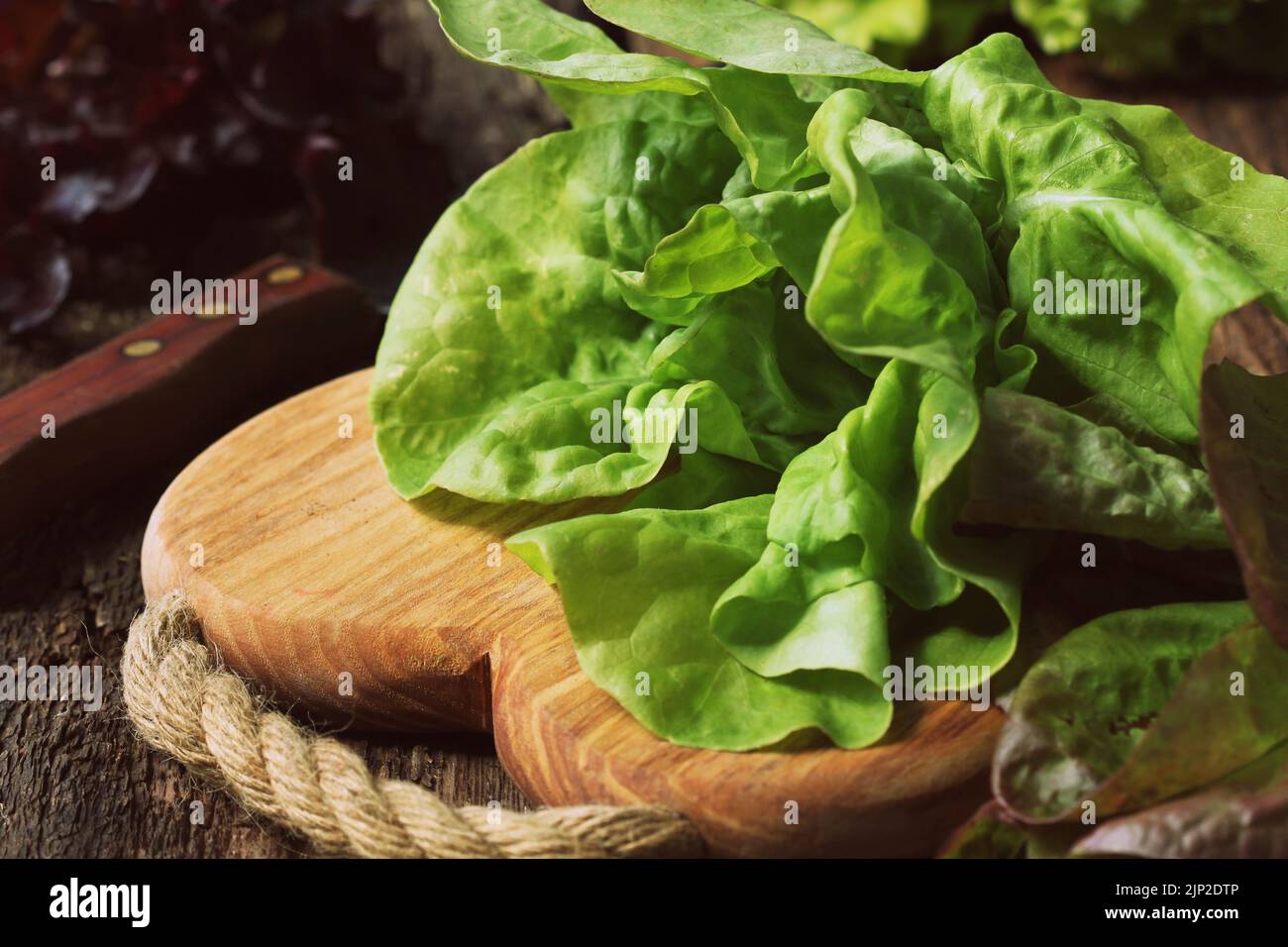 Lettuces horizontal hi-res stock photography and images - Alamy