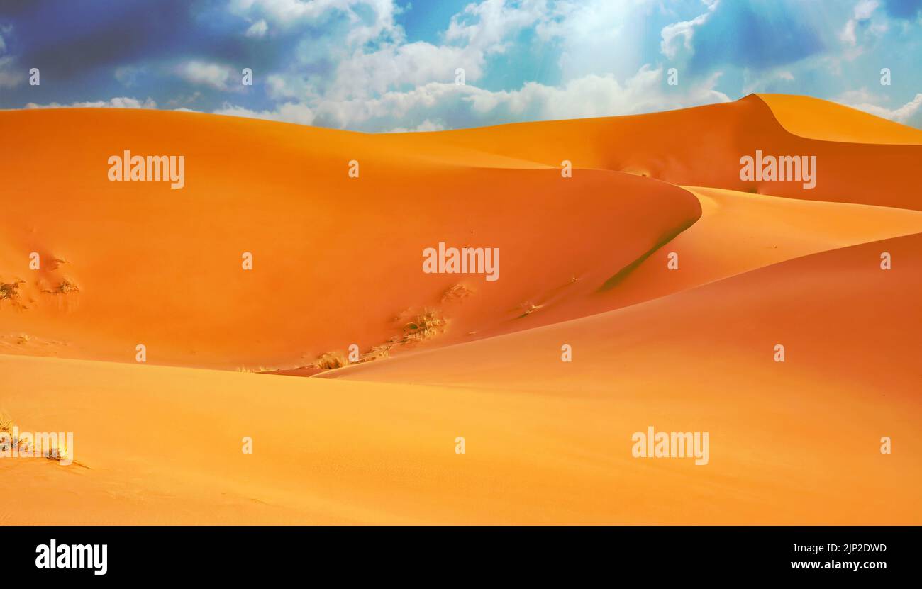 Beautiful empty orange color sand desert dunes landscape, wavy lines ...