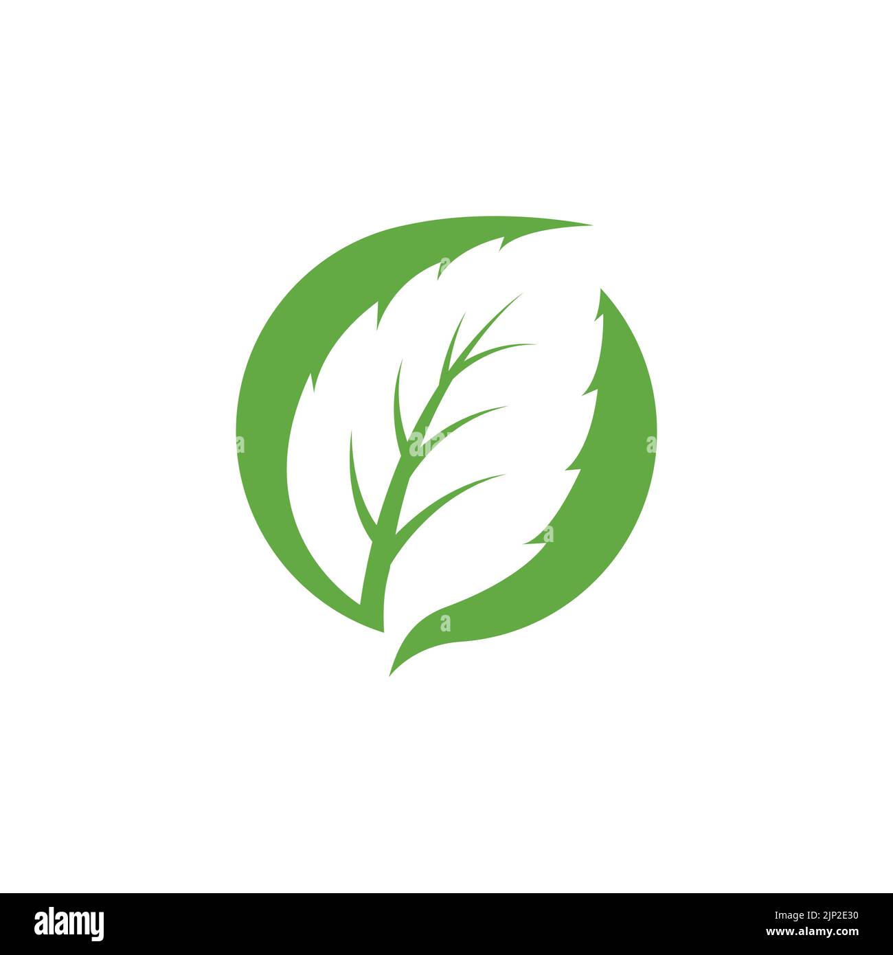 Green mint leaves ecology nature element vector icon, Leaf Icon, mint ...
