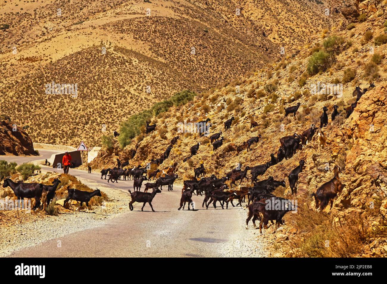 Beautiful scenery, dry arid Atlas mountains landscape, empty road with ...