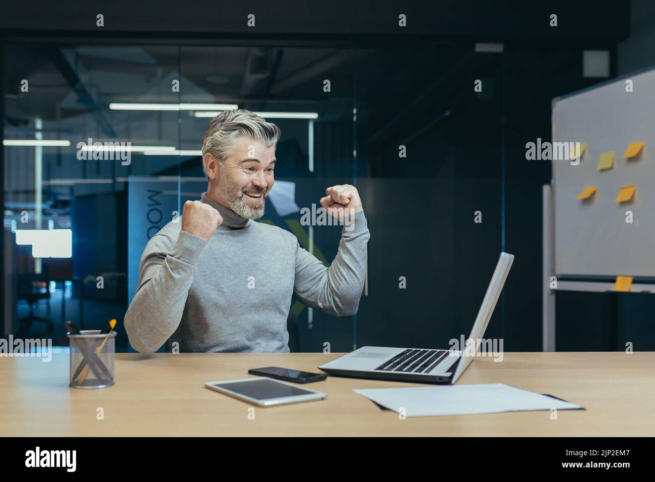 Successful and happy owner senior gray-haired investor mature ...